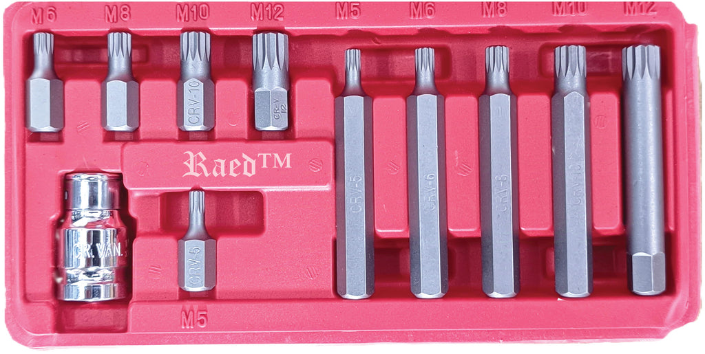 Raed™ 11 Pcs Spline Bit Socket Set 12 point drive tool M5 to M12 ...